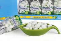 China Sugar free Low Fat candy Bottle Pack Vitamin C Low Cal Mint Candy Cooling Mint for sale