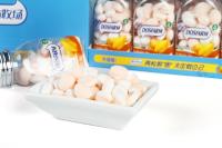 China OEM Functional Vitamin Mint Candy Super Cooling Mango Flavor for sale
