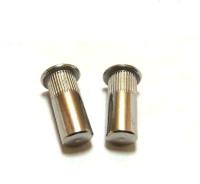 China 1-3.5 Pitch Zinc Finish Carbon Steel Stainless Steel Rivet Nuts for Durable Fastening for sale