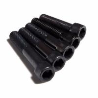 China Carbon Steel Hex Socket Allen Bolt DIN912 Black Class 4.8 8.8 10.9 12.9 for sale