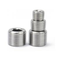 China Plain Finish Hexagon Socket Pipe Plugs DIN906 for Building and Construction Projects for sale