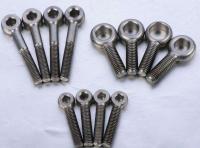 China Zinc Plated Forged Stainless Steel Eye Bolt M6 to M64 for Industrial Lifting for sale