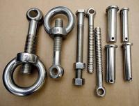 China Zinc Plated Forged Stainless Steel Eye Bolt M6 to M64 for Industrial Lifting for sale