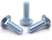 China ISO9001 Stainless Steel Carriage Bolt DIN603 M6 to M30 for Steel Industry for sale