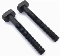 China DIN261 T Head Bolts Grade 8.8 Carbon Steel Customized Finish for Strong Connections for sale