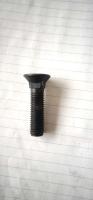 China Steel Countersunk Square Plow Bolt DIN605 M6-M16 Black Oxide Galvanized for Building Industry for sale