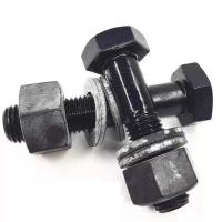 China Black Finish DIN7990 Hexagon Head Bolts for Steel Structures M12x50 for sale