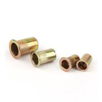 China Galvanized Flat Head Nut with Grade 4.8/8.8/10.9/12.9 Ect Knurled Vertical Rivets for sale