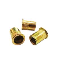 China Galvanized Flat Head Nut with Grade 4.8/8.8/10.9/12.9 Ect Knurled Vertical Rivets for sale