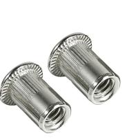 China Galvanized Flat Head Nut with Grade 4.8/8.8/10.9/12.9 Ect Knurled Vertical Rivets for sale