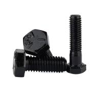 China Carbon Steel Nut and Bolt Manufacturing 1/2 3/8 3/4 5/8 Stainless Steel Fasteners for sale