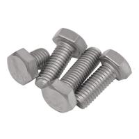 China Stainless Steel 304 Hex Bolts and Nuts M5-M64 High Precision for High Temperature Applications for sale