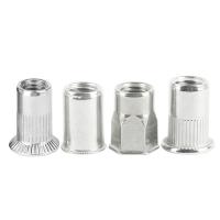 China ZINC PLATED Small Large Countersunk Flat Head Reduced Side With Notch Collar Rivet Nuts for sale