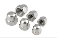 China DIN1587 Hex Domed Cap Nuts Nickel Galvanized M6 M8 M10 ASTM Fastener Certified for sale