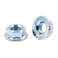 China 304 Stainless Steel Hexagon Spline Flange Nut DIN6923 Nylon Lock M6 M8 M10 for sale
