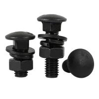 China 304 Stainless Steel Half Round Head Carriage Bolt M6-M16 DIN603 Grade 8.8 Galvanized for sale