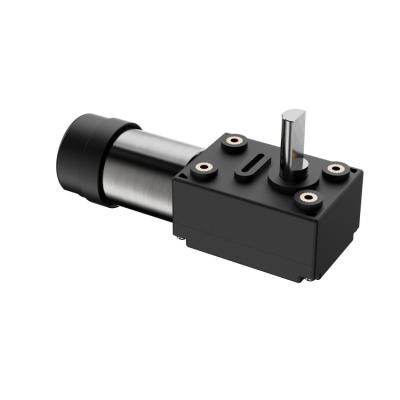China Micro Dc Worm Gear Motor 24v For Communication Equipment for sale