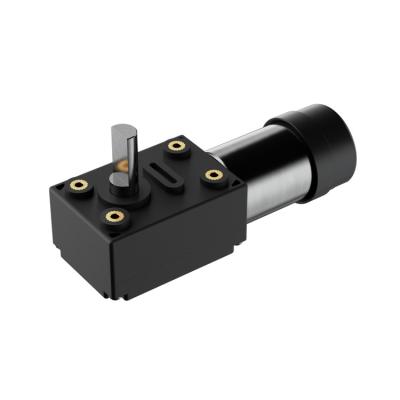 China 30 Rpm Stepper Automobile Dc Motor With Worm Gearbox for sale