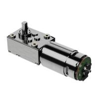 China Bldc Automobile Dc Motor / High Torque Worm Gear Motor 12v for sale