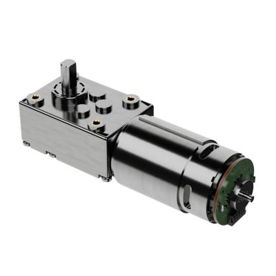 China Bldc Automobile Dc Motor / High Torque Worm Gear Motor 12v for sale