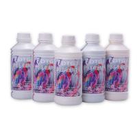 China 1000ml DTG Ink Large Capacity CMYK White 5 Color Textile Ink For Dtg Printer for sale
