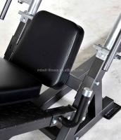 China Compact and Sturdy Grey/Black Seated Leg Press Fitness Equipment for LCL Support for sale