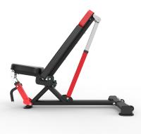 China Qingdao Loading Port Commercial Adjustable Workout Bench for Indoor Fitness Equipment for sale