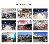 China Bodybuilding Function Squatting Racks for Home Fitness Smith Machine Steel Materials for sale