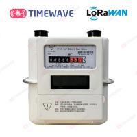 China IoT Smart Gas Meter with LoRaWAN Technology - 1.6/2.5/4.0 m³/h Flow Rates, 3000m+ Range for sale