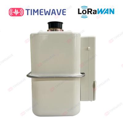 China Smart IoT Gas Meter with LoRaWAN Technology - 1.6/2.5/4.0 m³/h Flow Rates, 3000m Range for sale
