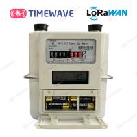 China TIMEWAVE Smart IoT Gas Meter with LoRaWAN Technology - 1.6-4.0 m³/h Flow Rate & 3000m Range for sale