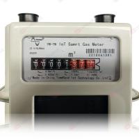 China TIMEWAVE Smart IoT Gas Meter with LoRaWAN Technology - 1.6/2.5/4.0 m³/h Flow Rates, Remote Monitoring & Prepayment System for sale