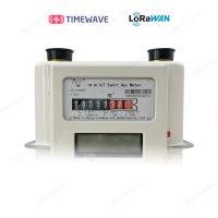China LoRaWAN Gas Meter For Direct Connected Wall Mounted Installation With Extended Battery Life for sale