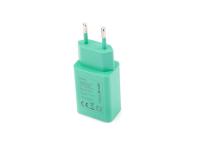 China Energy Efficient Lightweight USB Power Adapter Compact Design for Global Use - 90g for sale