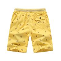 China Summer men's beach pants sporty casual shorts for sale