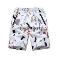 China Summer new cotton casual shorts men's sports breathable beach pants for sale