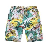 China Summer Casual Pants Hawaiian Straight Tube Plus Size Men for sale