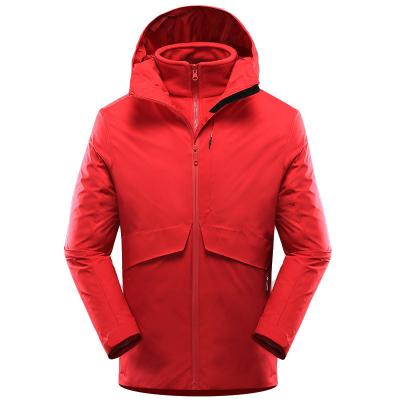 China Waterproof Cotton Outdoor Windbreaker Women'S Jacket Colorful for sale