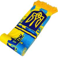 China Polyester Sports World Cup Scarf Football Training Tracksuits Customized for sale