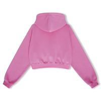 China Factory Directly Customized Fashion Trends Oversized Cropped Pullover Hoodie for sale