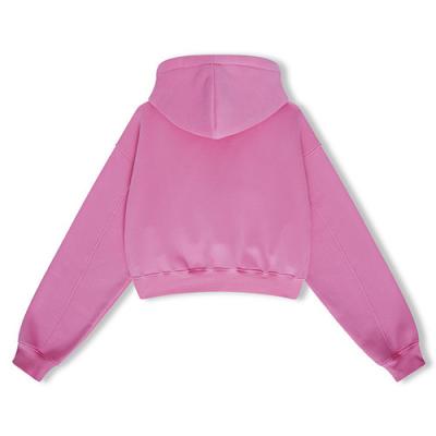 China Factory Directly Customized Fashion Trends Oversized Cropped Pullover Hoodie for sale