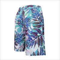 China Summer New Quick Dry Men'S Beach Pants Surfing Casual Large Pants for sale