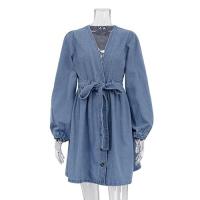 China OEM maufactory European American Cross Border Polyester V Neck Long Sleeved Dress for sale