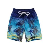 China Oem Factory Manufacturer Custom Logo Quick Dry Drawstring Child Beach Surf Shorts for sale