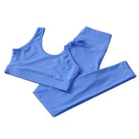 China Oem Factory Manufacturer Custom Logo GYM Fitness Leggings Blue Summer Fitness Yoga Suit for sale