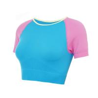 China Oem Factory Manufacturer Custom Logo Short Sleeve OEM T Shirts Fast Dry Womens Yoga T Shirts for sale