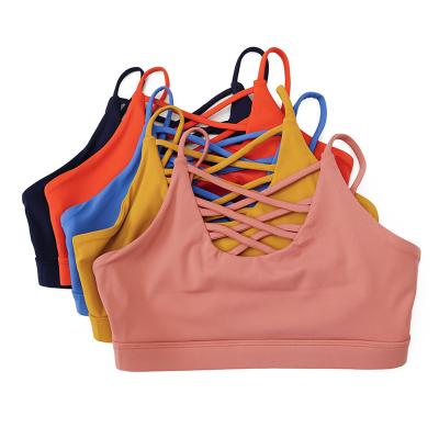 China XS-4XL Breathable Ladies Sports Bras Solid Gym Push Up Crop Tops For Running for sale