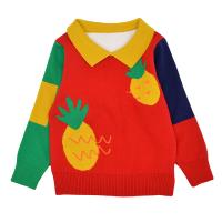 China Pineapple Pattern Bespoke Sweaters Turn Down Collar Children Autumn Pullover for sale