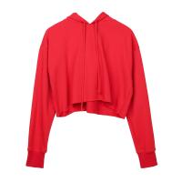China Custom Solid Long Sleeve Crop Top Spring Autumn Outerwear Anti Shrink for sale