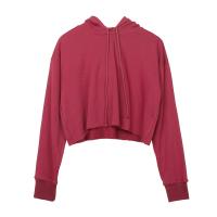 China Custom Solid Long Sleeve Crop Top Spring Autumn Outerwear Anti Shrink for sale
